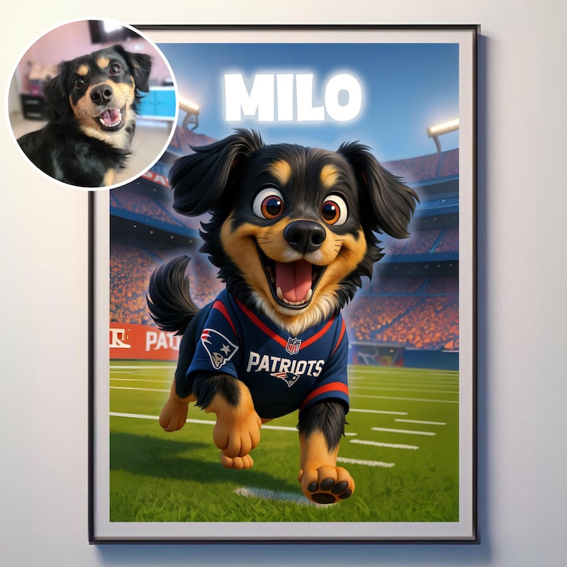 Football Teams for Cats - Etsy