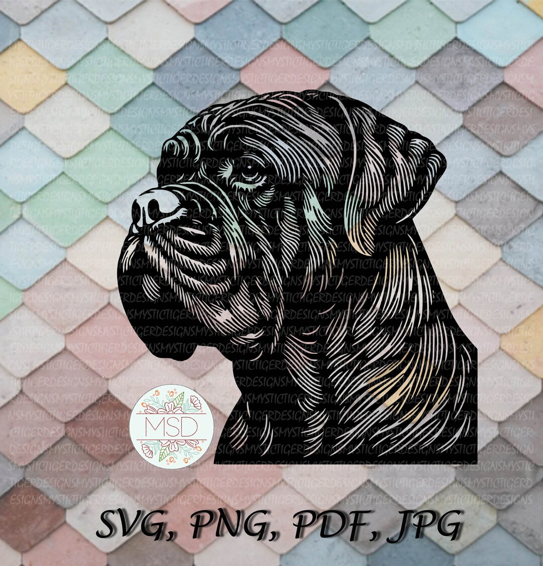 Cane Corso SVG Dog Breed Stencil Intricate Weeding, Cricut, Silhouette ...