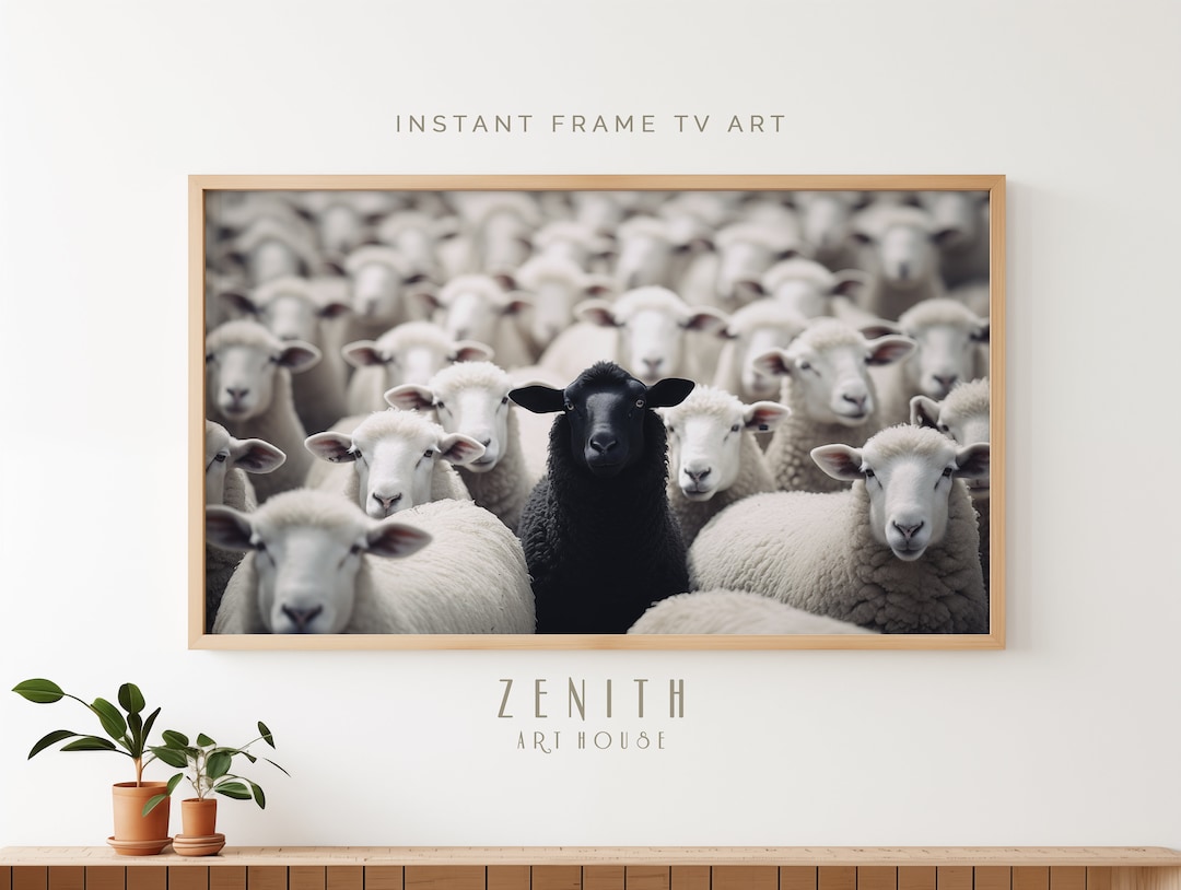 The Black Sheep Photo | Samsung FRAME TV Art, Modern Wall Decor ...