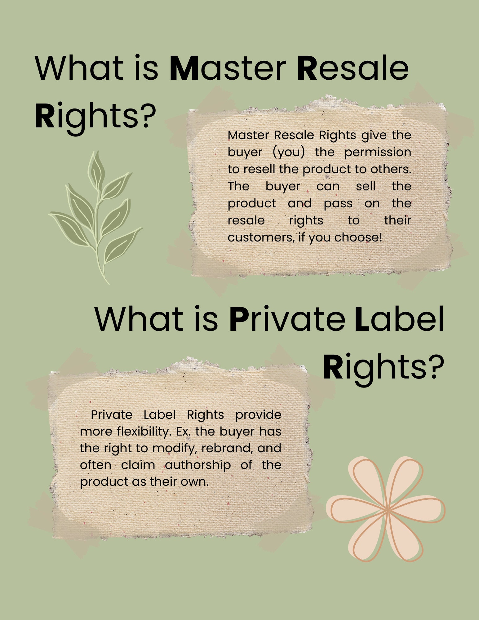 Social Media Content Guide With MRR and PLR, Master Resale Rights and ...