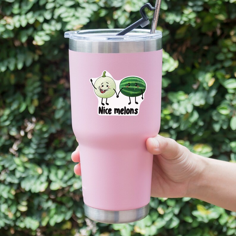 Nice Melons Die-cut Sticker, Funny Fruit Stickers - Etsy