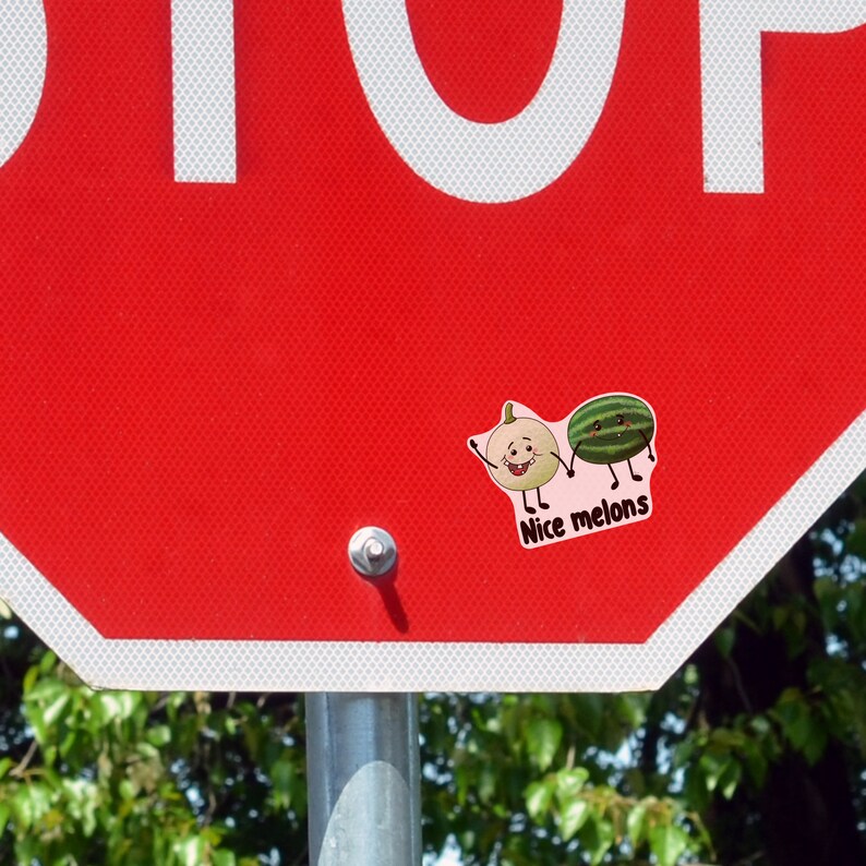 Nice Melons Die-cut Sticker, Funny Fruit Stickers - Etsy
