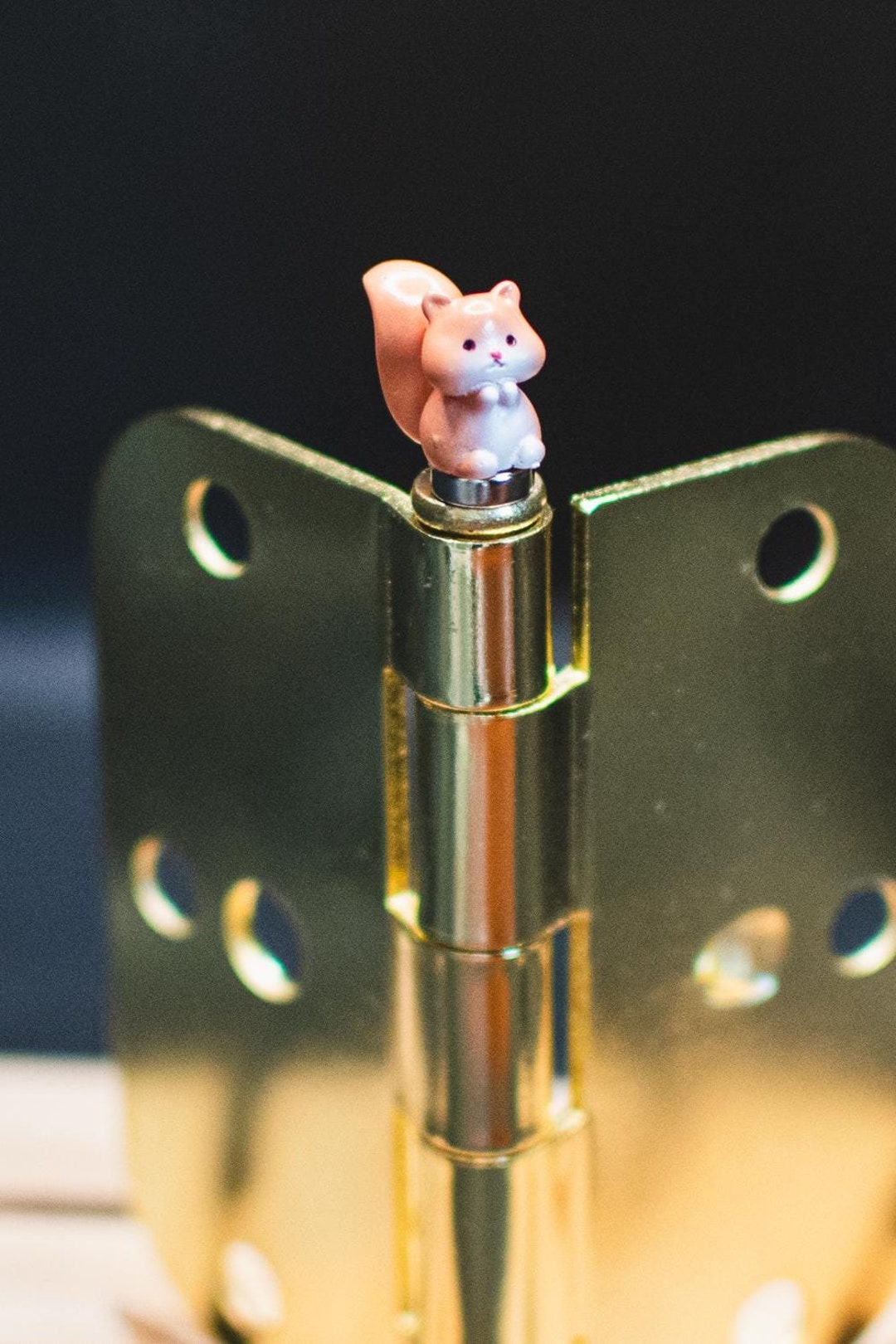 Squirrelin' Around Magnetic Hinge Head Topper - Etsy