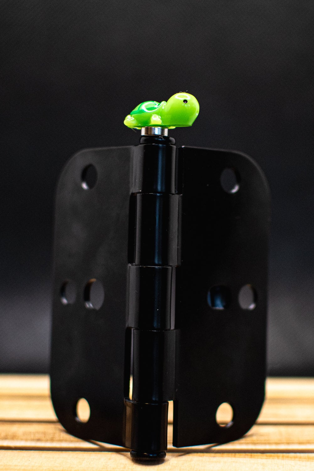 A see Turtle Hinge Head - Etsy