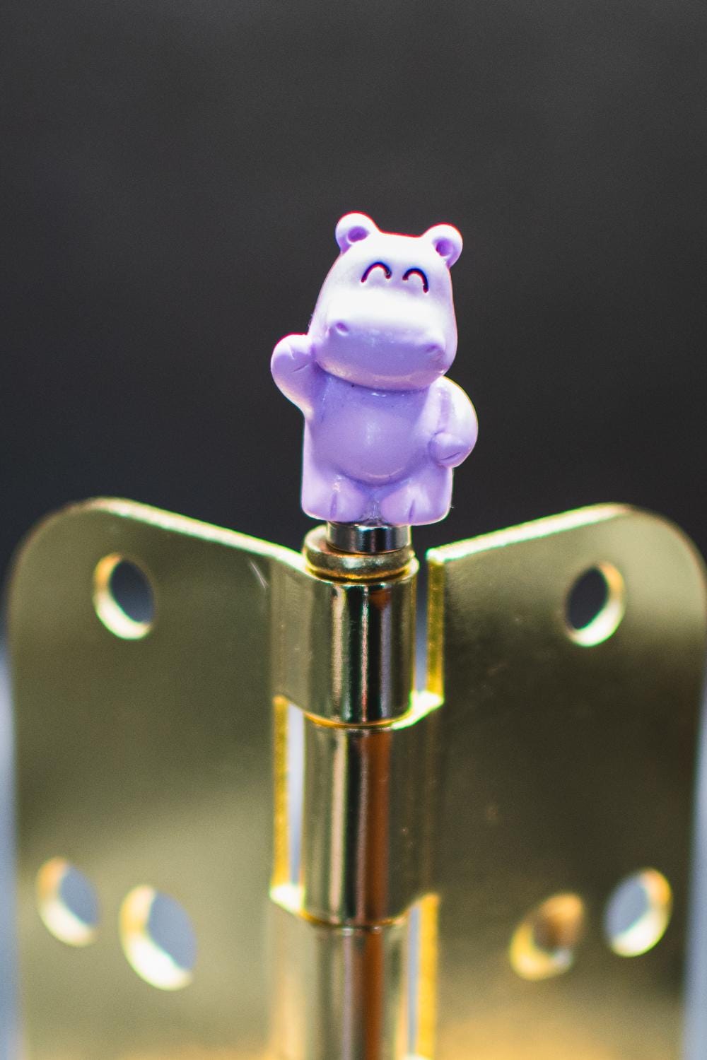 House Hippo Hinge Head - Etsy