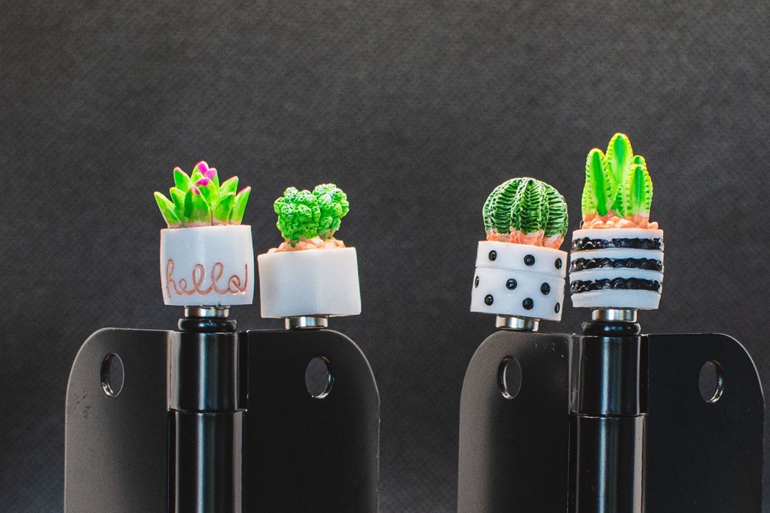 Trendy Cactus in a Pot Hinge Head - Etsy