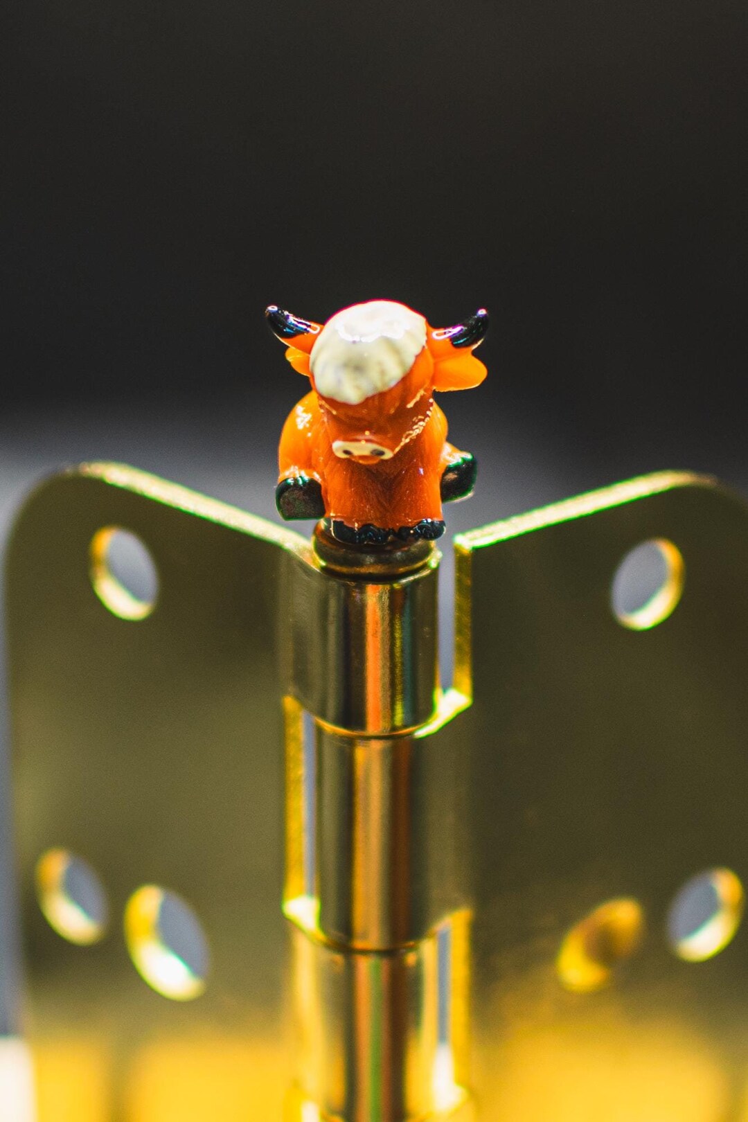 How Now Highland Brown Cow Hinge Head - Etsy