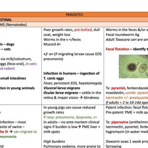 Navles Disease Template - Mindmaps - Flashcards the Ultimate Navles ...