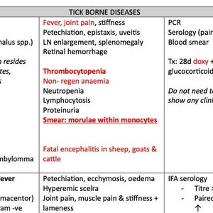 Navles Disease Template - Mindmaps - Flashcards the Ultimate Navles ...