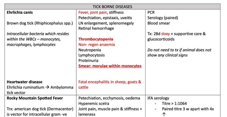 Navles Disease Template - Mindmaps - Flashcards the Ultimate Navles ...