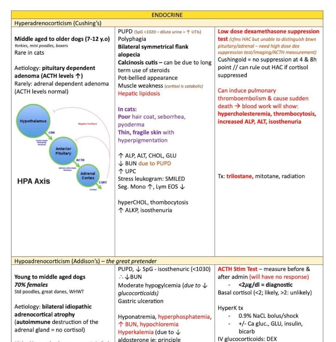 Navles Disease Template - Mindmaps - Flashcards the Ultimate Navles ...