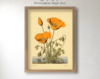 Taurus Zodiac Art 4k PNG, Astrology Poppy Flower Print, Horoscope ...