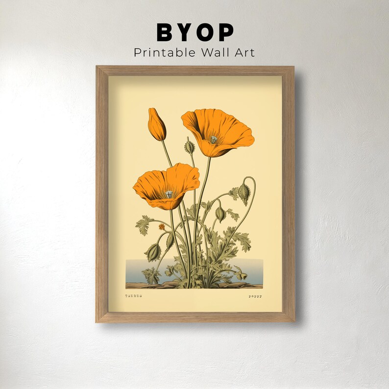 Poppy Illustration, Taurus Zodiac Flower, Instant Download - Etsy