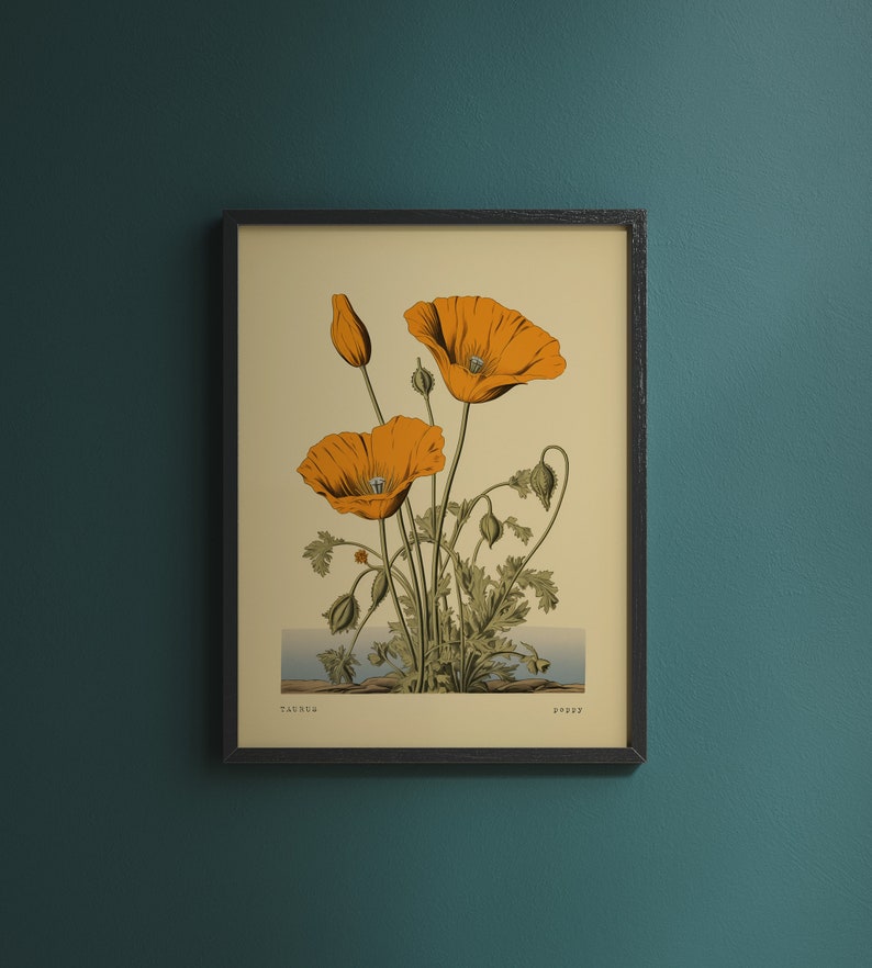 Poppy Illustration, Taurus Zodiac Flower, Instant Download - Etsy