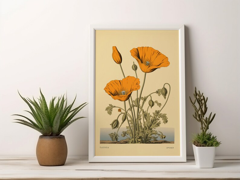 Poppy Illustration, Taurus Zodiac Flower, Instant Download - Etsy