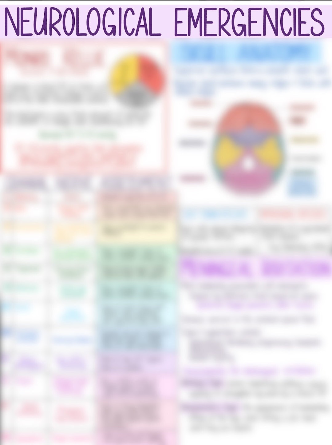 Neurological Emergencies, Skull Anatomy, Cranial Nerves, Paramedic ...