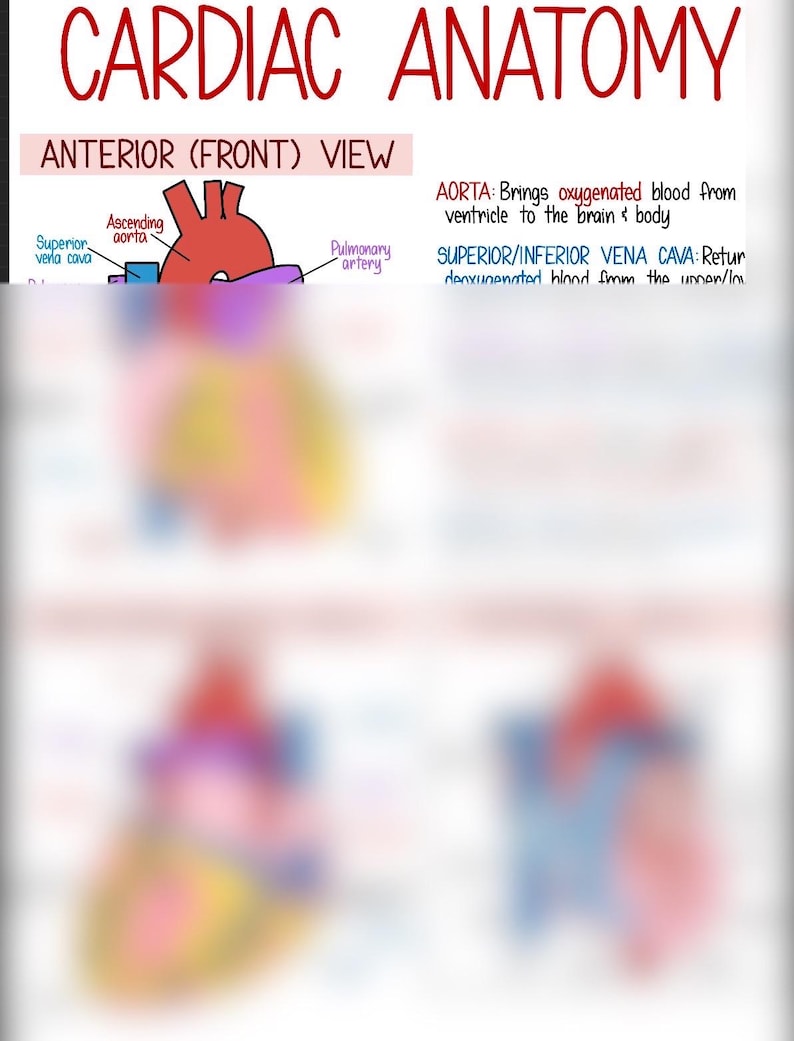 NREMT Paramedic Exam Study Guide: ALS Illustrated Notes (digital ...