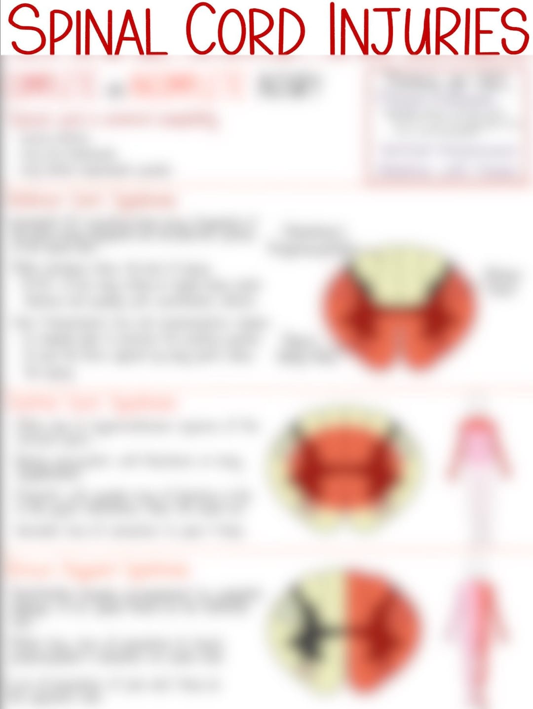 Spinal Cord Injury, Neurogenic Shock Emergencies, Paramedic Study Guide ...