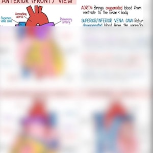 NREMT Paramedic ALS Study Guide: Illustrated NREMT Review (physical ...