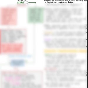 NREMT Paramedic Exam Study Guide: ALS Illustrated Notes (digital ...