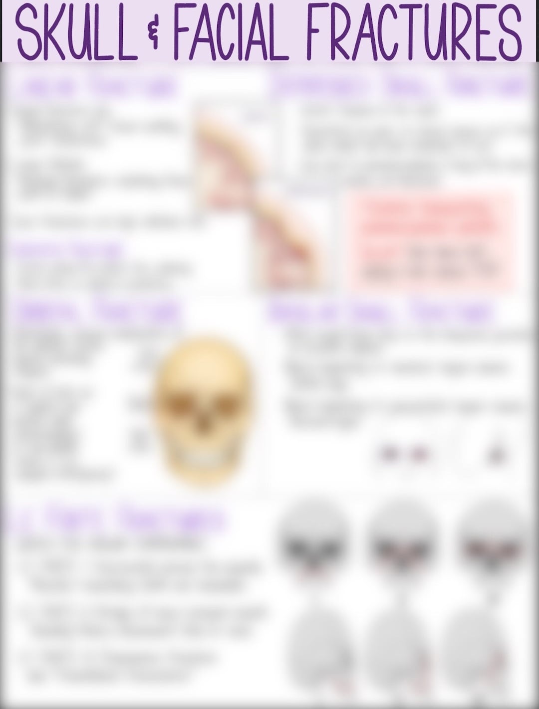 Skull & Facial Fractures, Neurological Emergencies, Paramedic Study ...