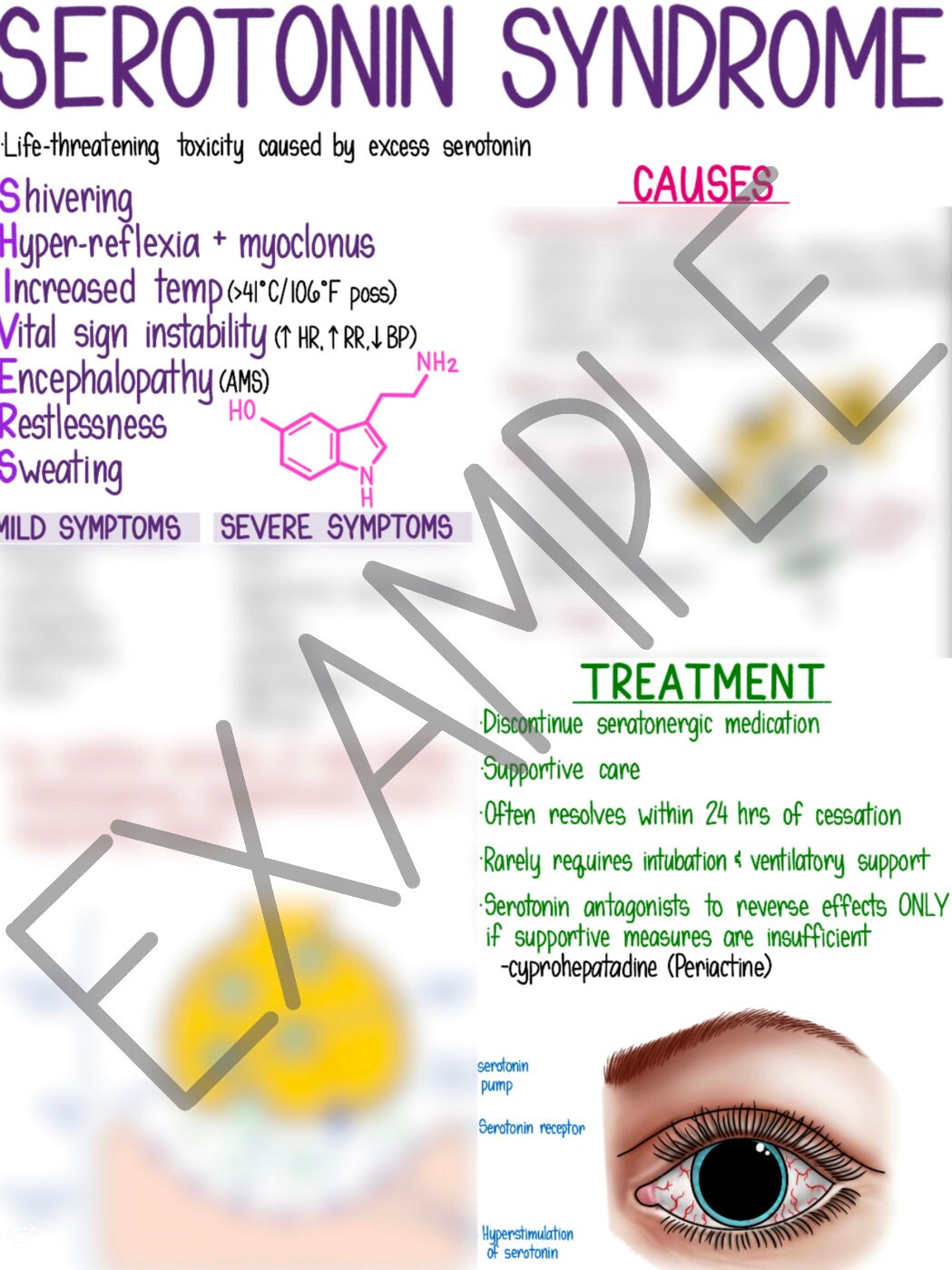 Flight Physiology Gas Law Notes, Study Guide, Critical Care Paramedic ...