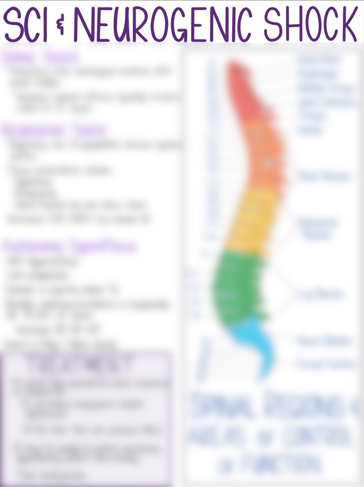 Spinal Cord Injury, Neurogenic Shock Emergencies, Paramedic Study Guide ...