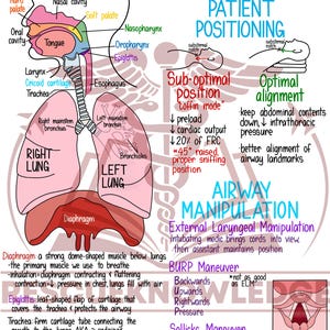 NREMT Paramedic Exam Study Guide: ALS Illustrated Notes (digital ...