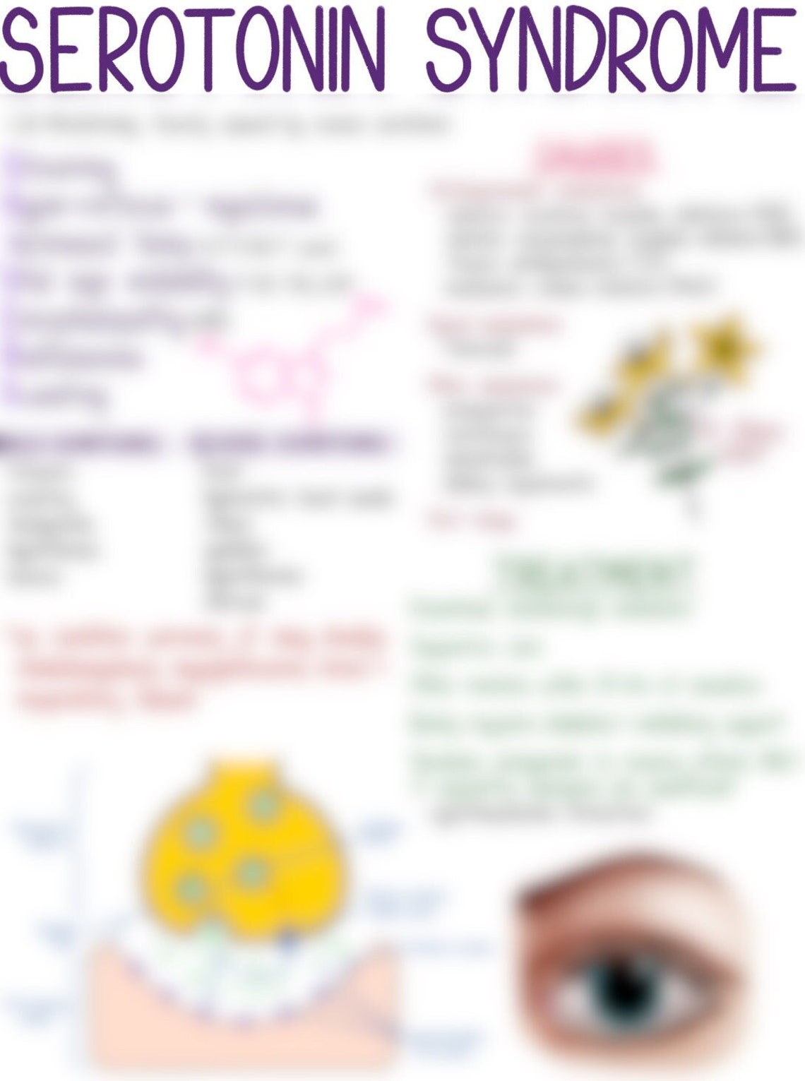 Serotonin Syndrome, Neurological Emergencies, Paramedic Study Guide ...