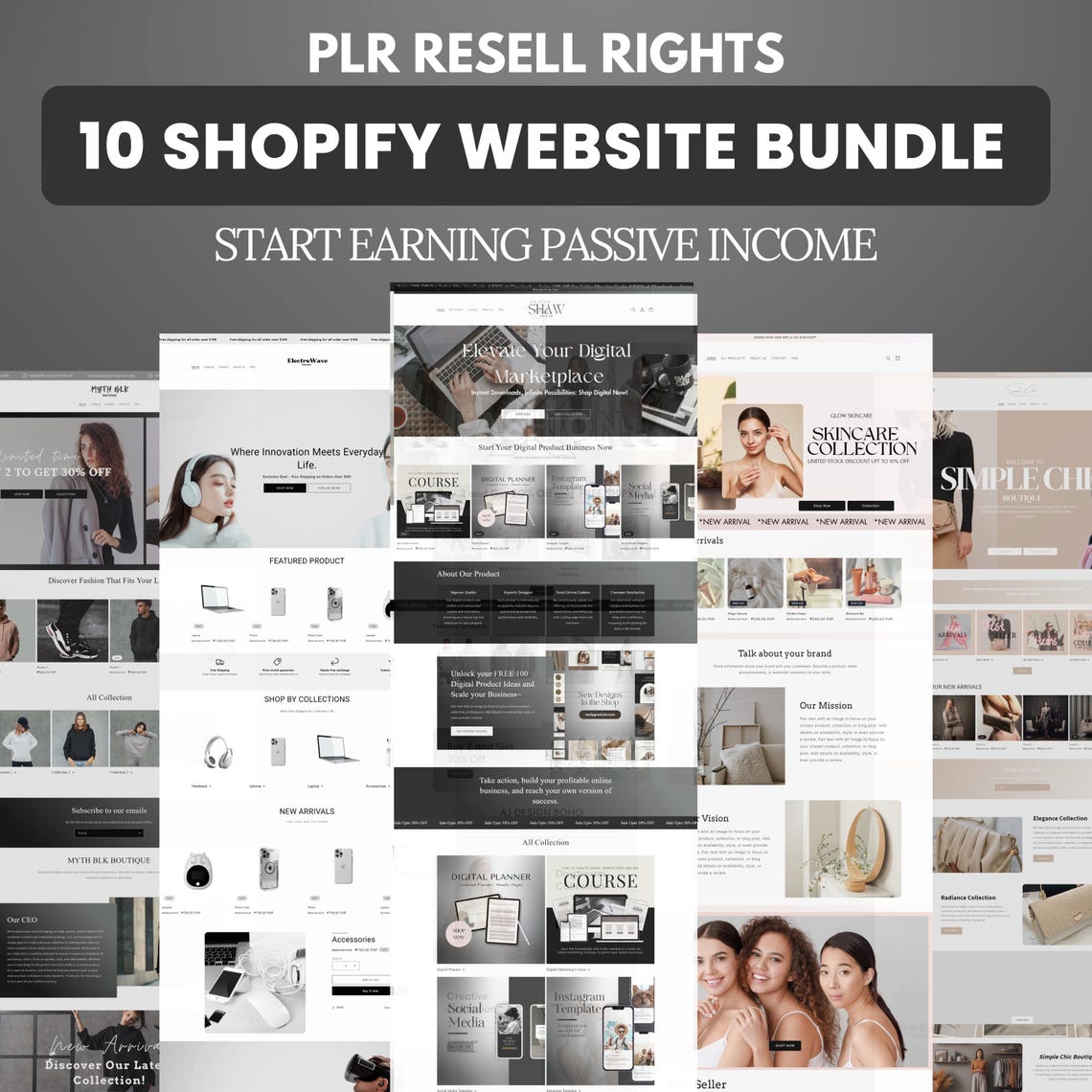 PLR Website Template, Shopify Theme, Shopify Template, Ecommerce ...