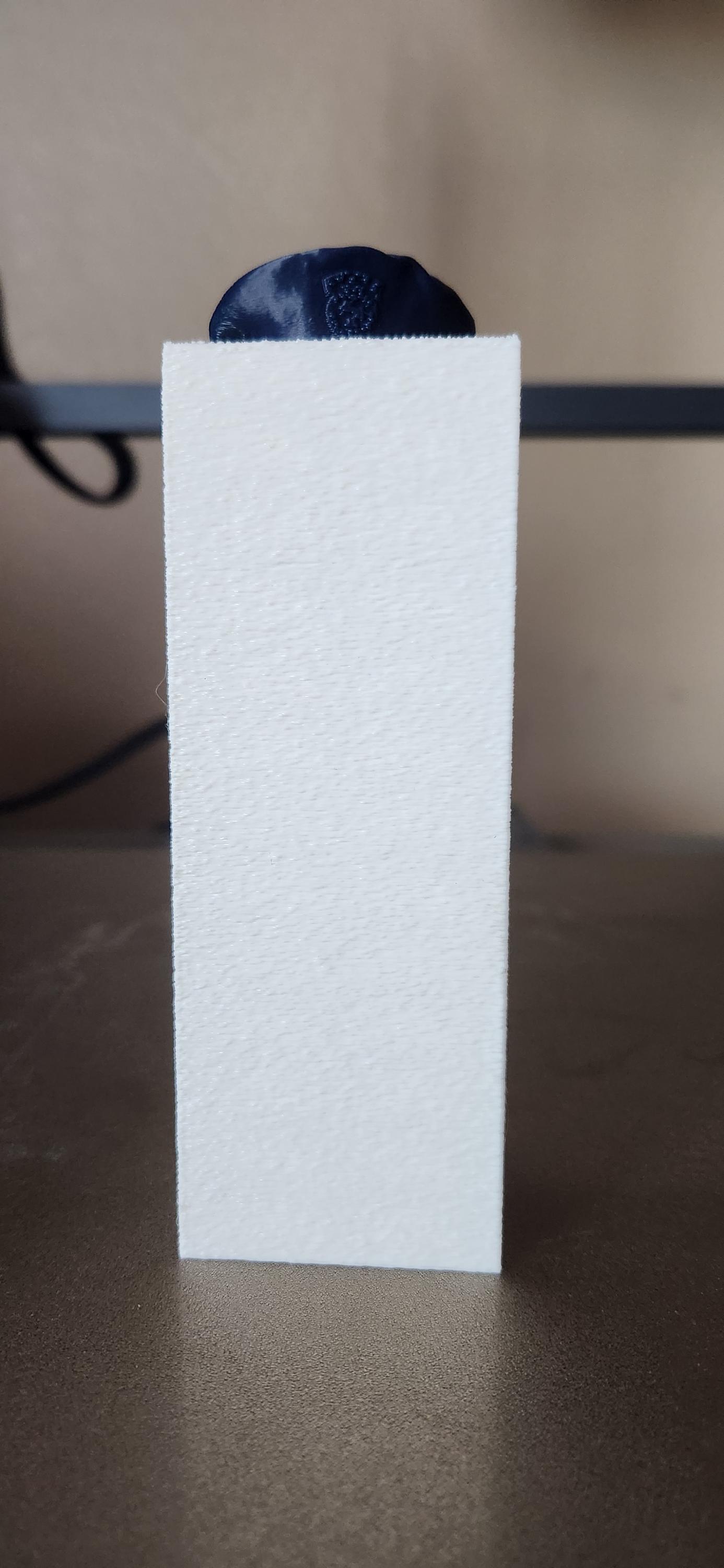 Tofu Action Figure Statue Resident Evil 2 Remake Figure Completely 3D ...