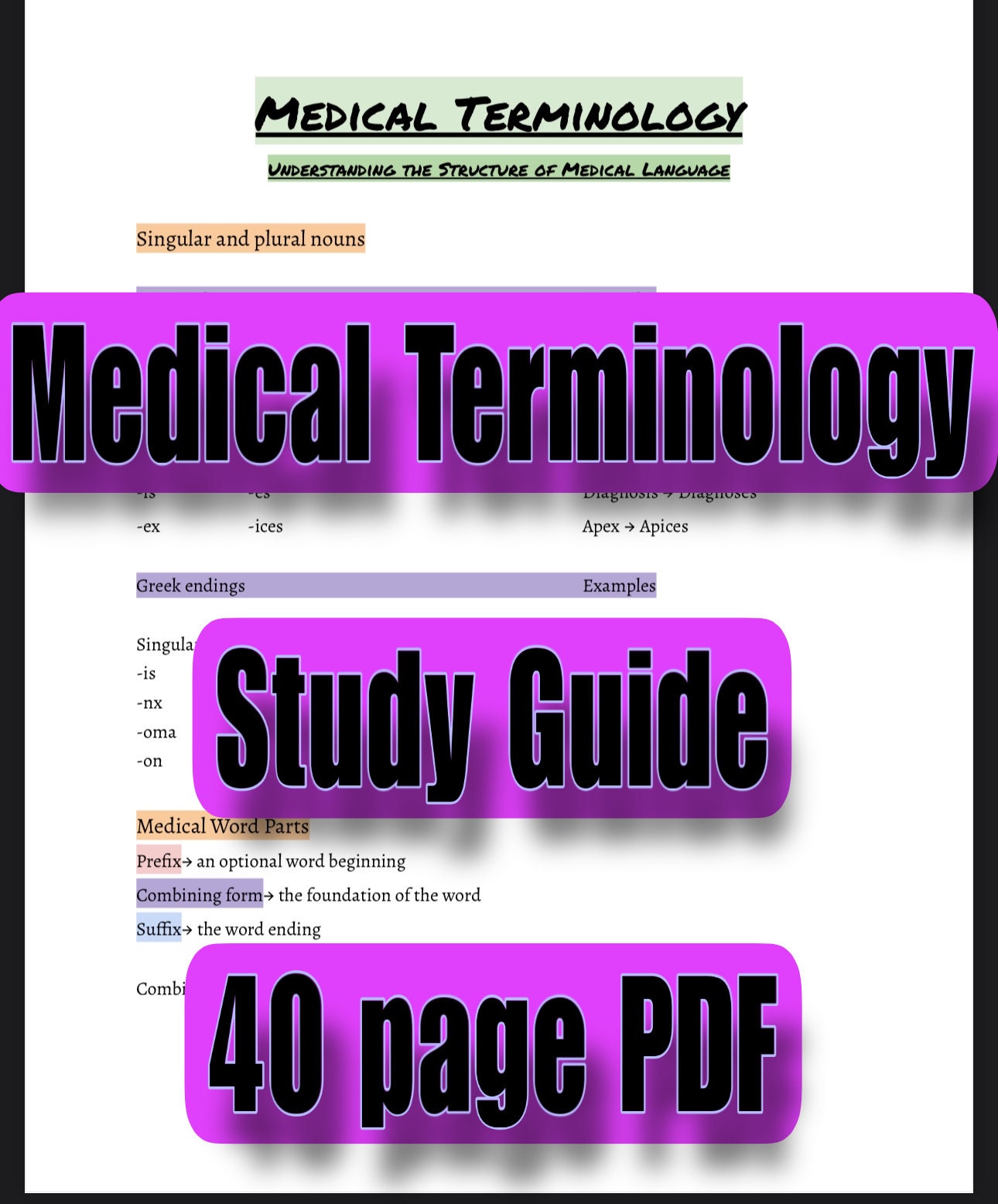 Medical Terminology Study Guide - Etsy
