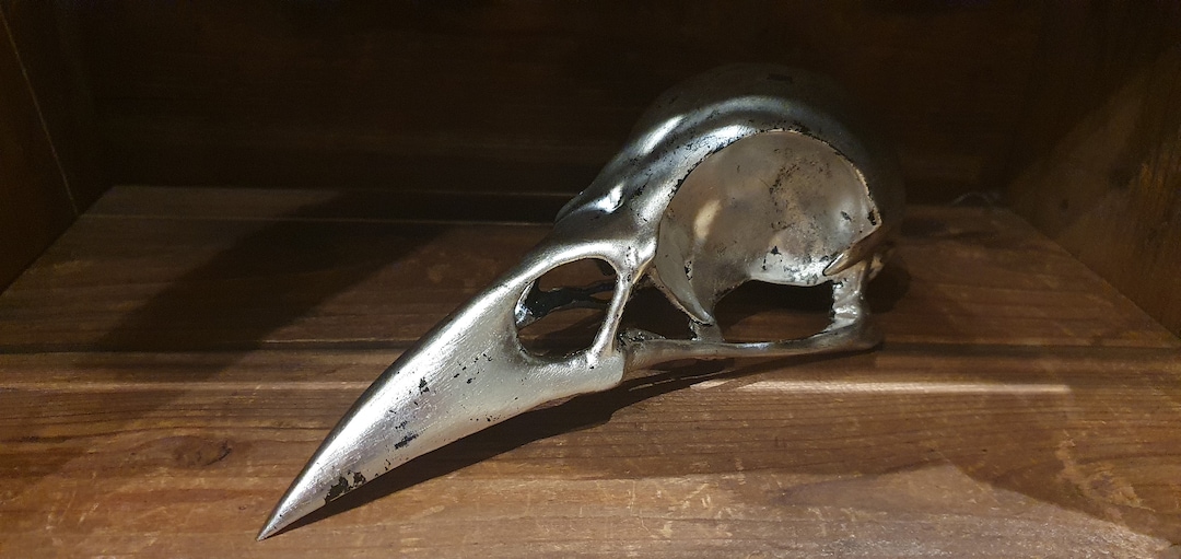Large Raven Skull - Etsy