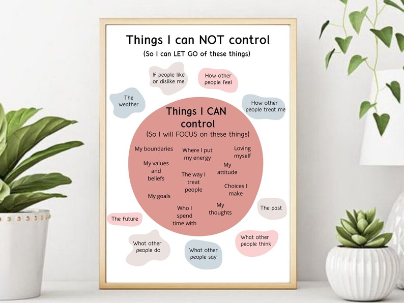 Circle of Control Therapy Poster What I Can and Cannot Control Poster ...