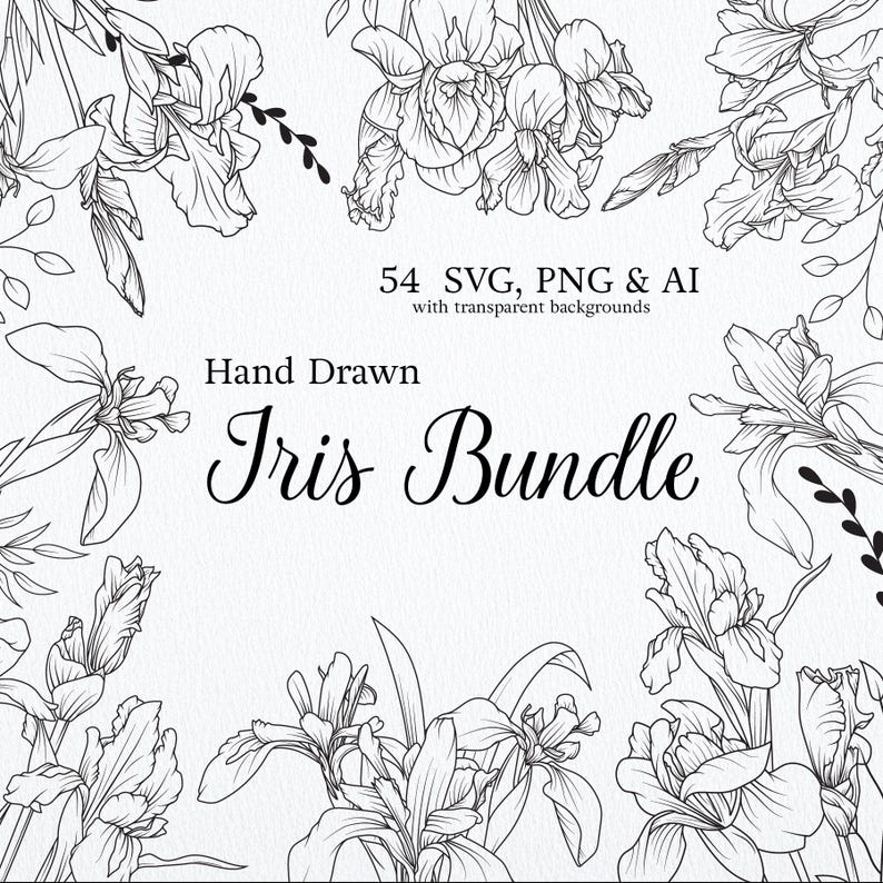 Iris Flower Bundle SVG, Iris Clip Art, Floral Arrangements, Iris Line ...