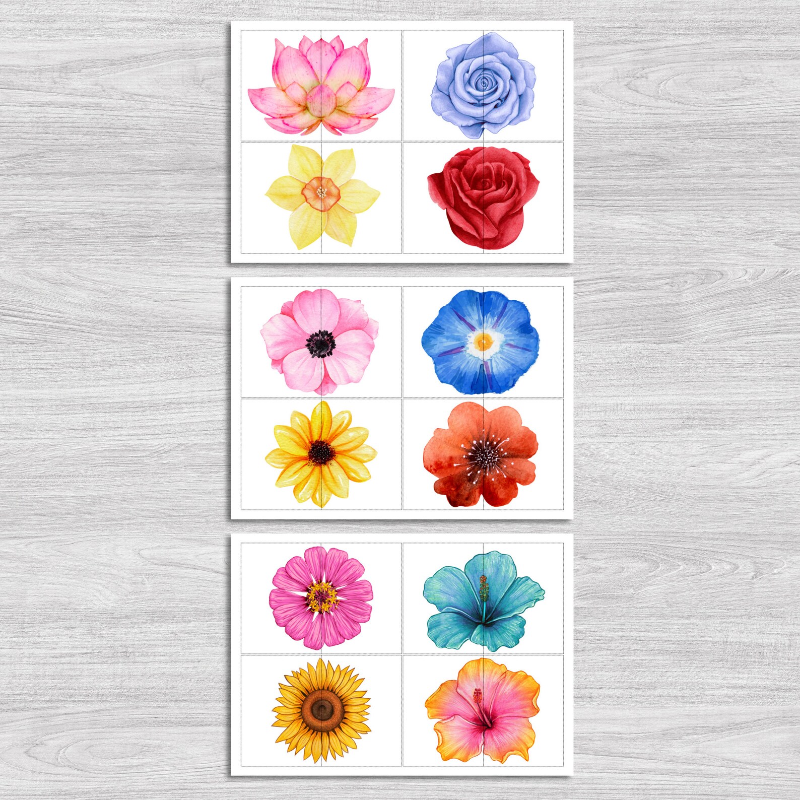 Spring Flower Activity, Flower Puzzles, Flower Symmetry Puzzles, Flower ...