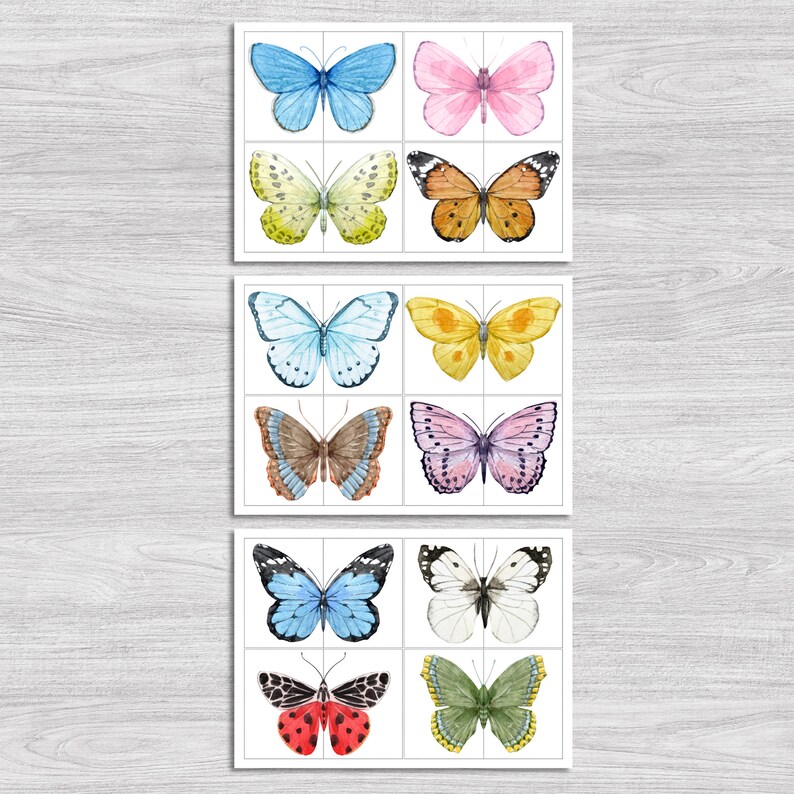Butterfly Symmetry Puzzles, Butterfly Puzzles, Butterfly Matching Cards ...