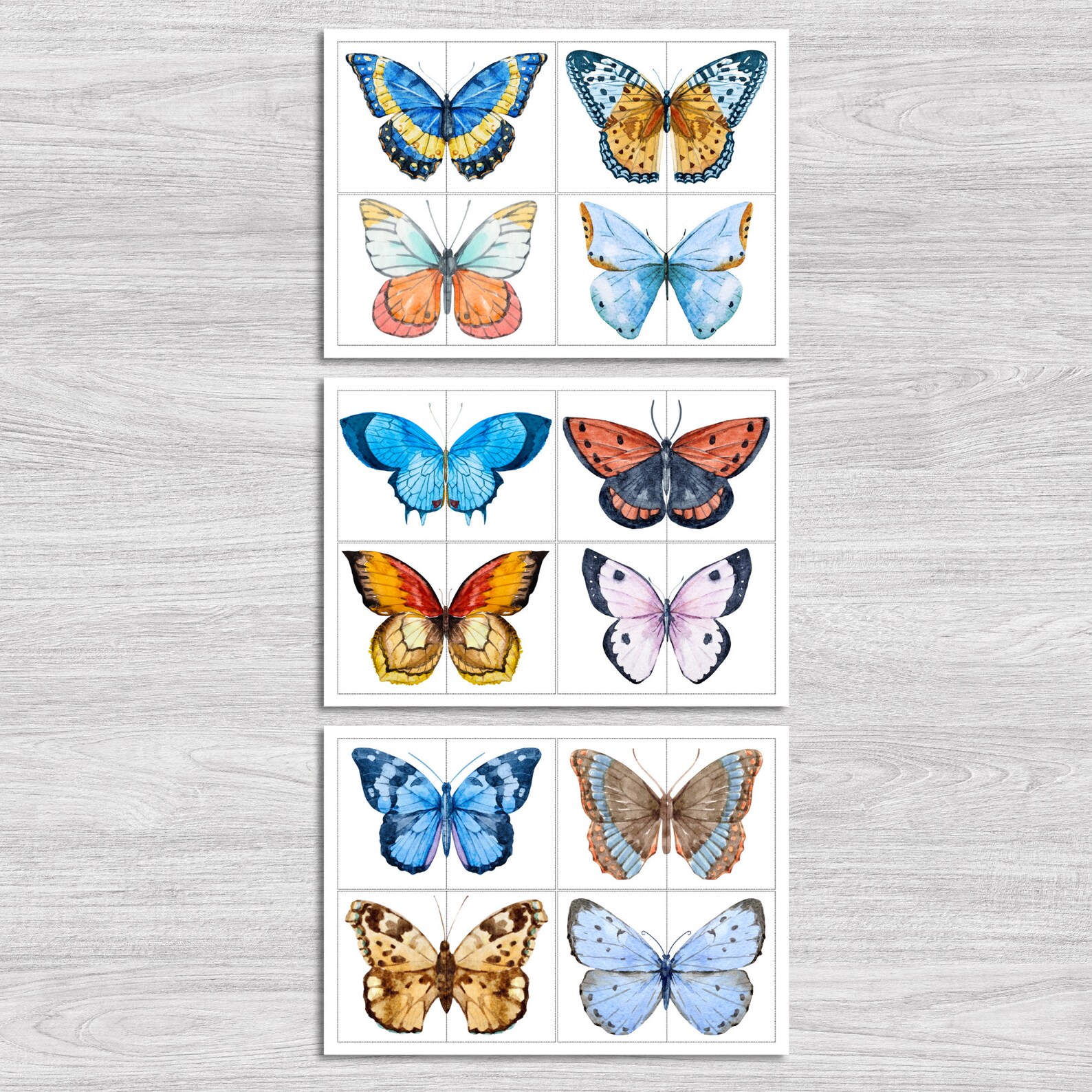 Butterfly Symmetry Puzzles, Butterfly Puzzles, Butterfly Matching Cards ...