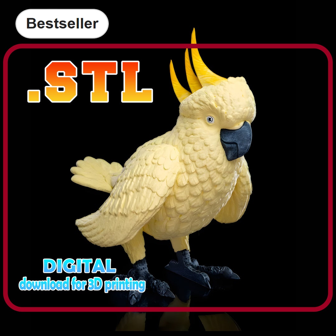 Parrot Animal Digital .STL File for 3D Printing, Articulated Fidget ...