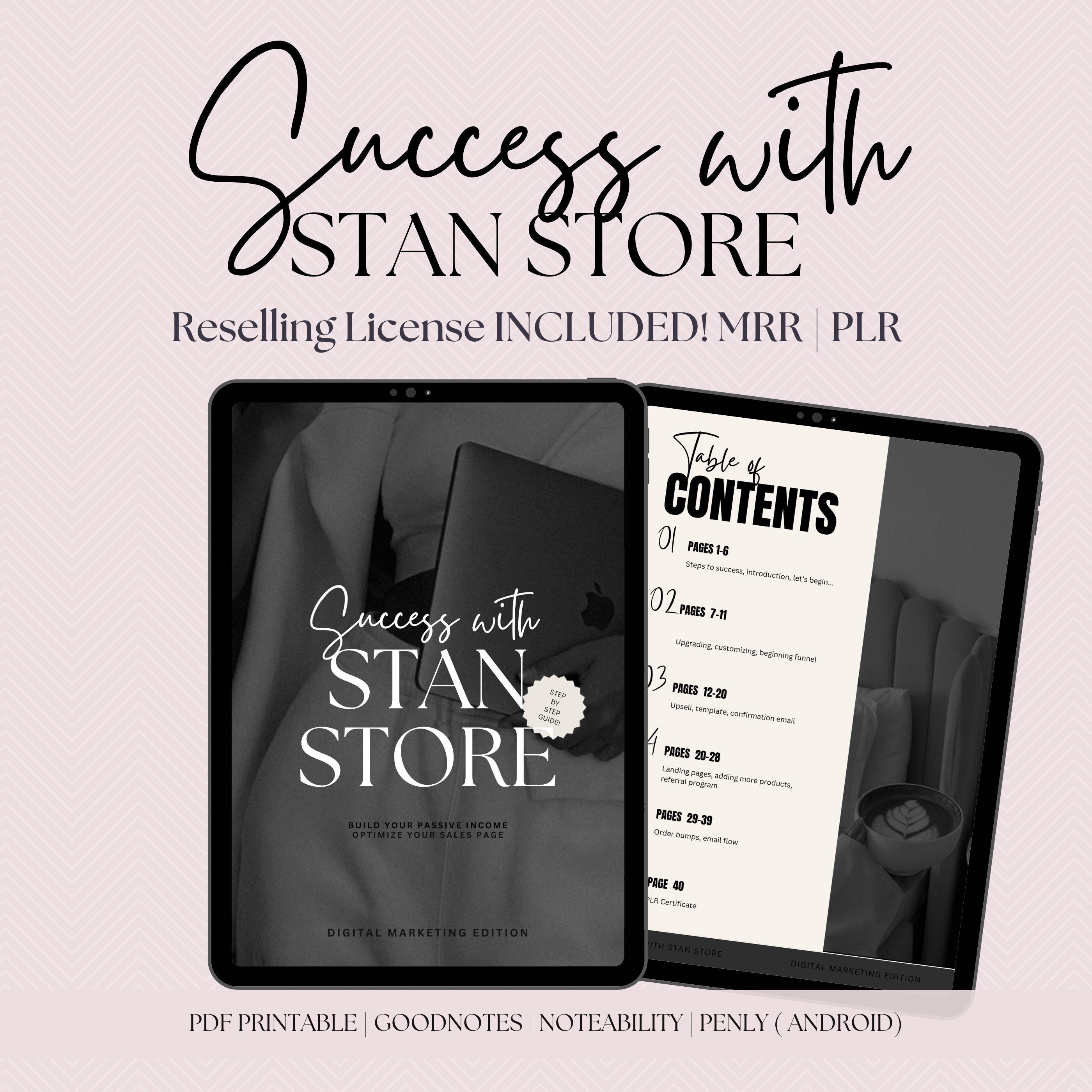 Success With Stan Store Guide, PLR Digital Products, DFY Ebook Template ...