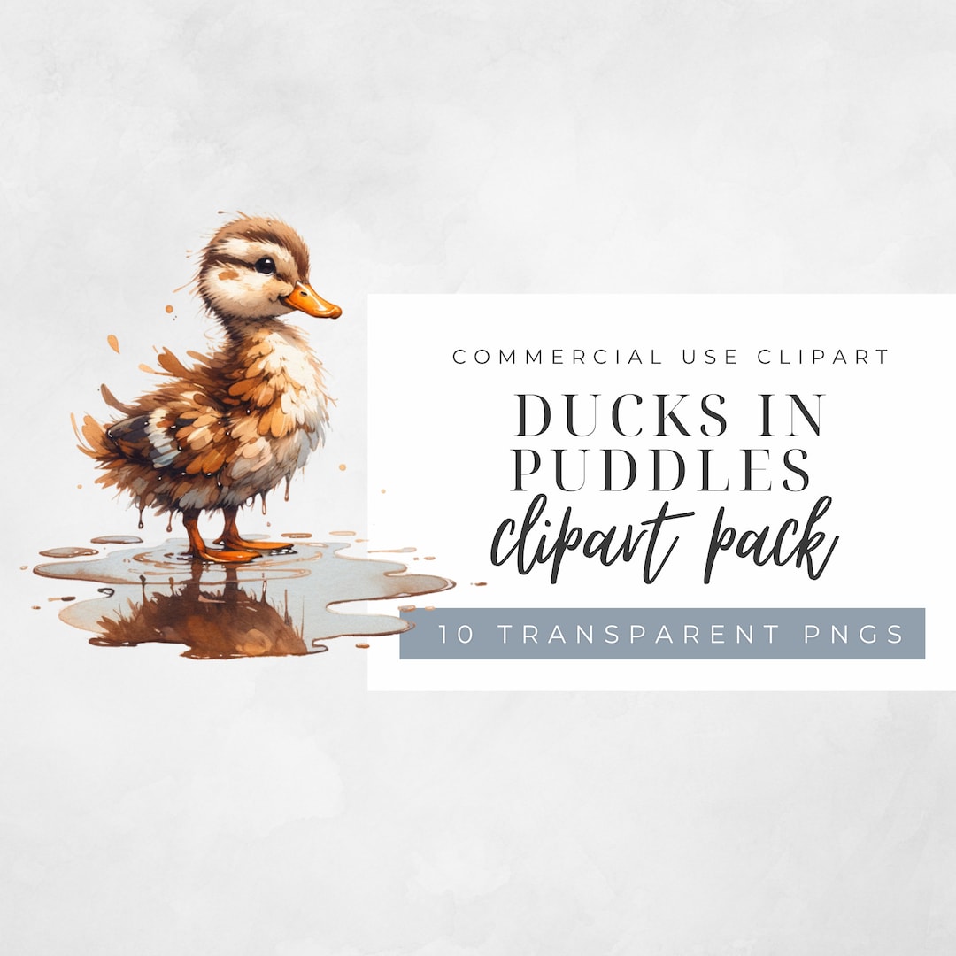Ducks in Puddles Clipart Images Watercolour PNG High Quality INSTANT ...