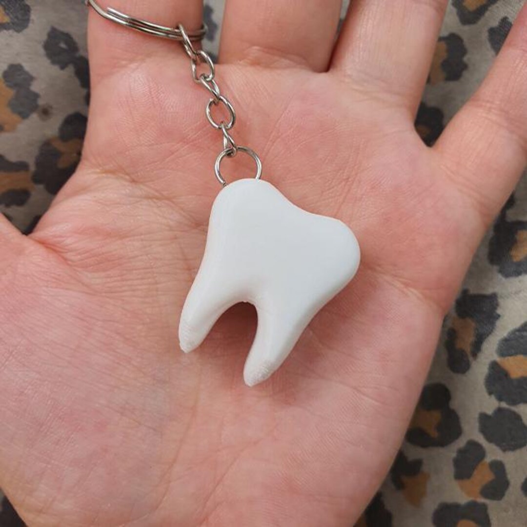 Tooth / Molar Keychain - Etsy