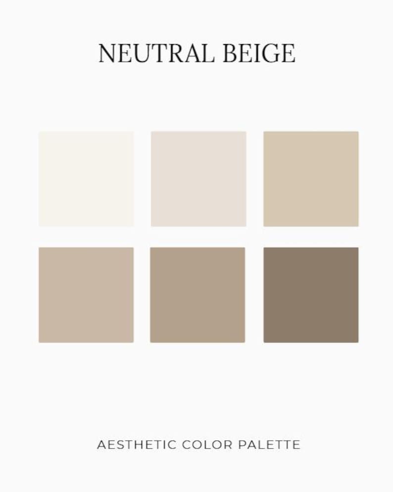 Paleta de colores beige neutro / Colores de marca minimalistas / Tonos ...