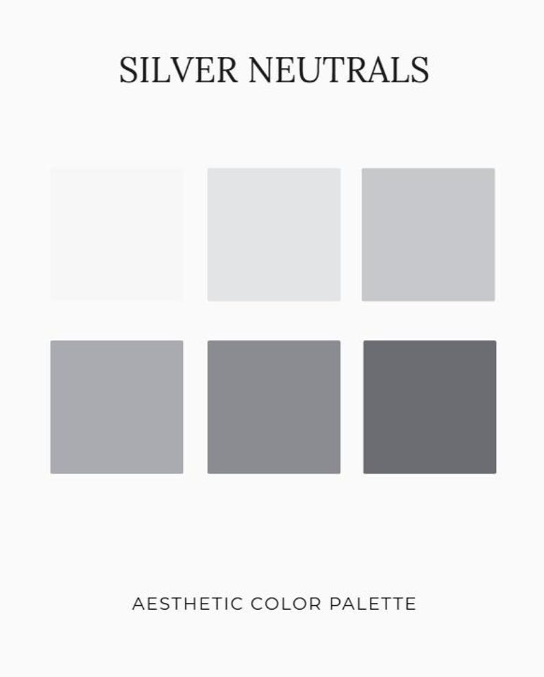 Silver Neutral Color Palette | Cool Light Greys | Minimal Aesthetic - Etsy