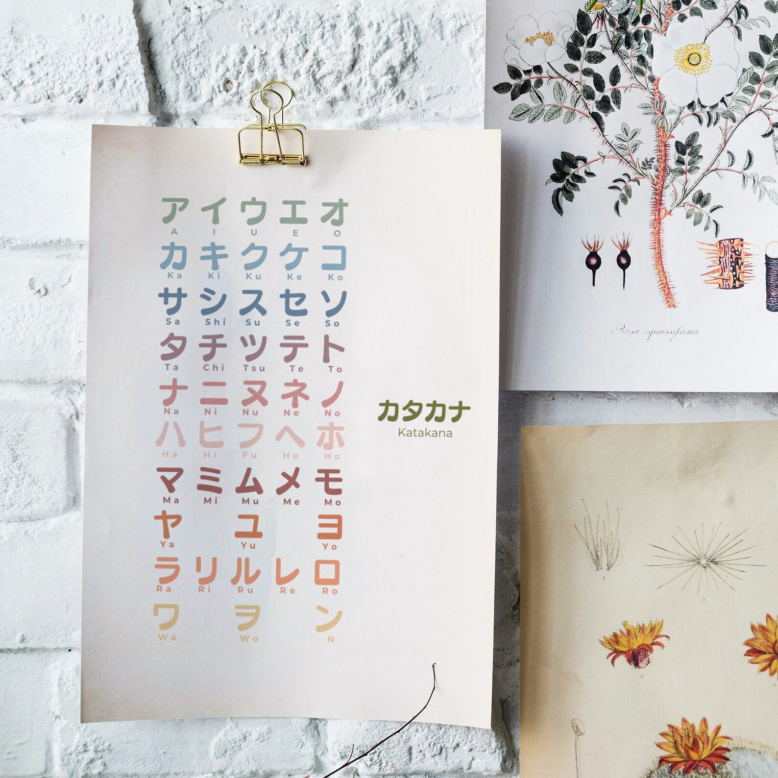 Set of 5 Japanese Hiragana Katakana Chart, Japanese Alphabet Bilingual ...