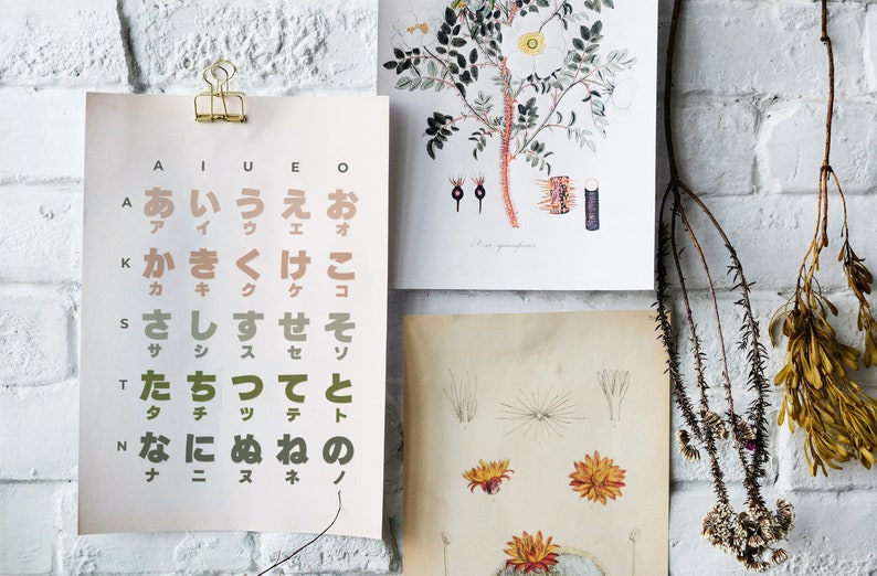 Japanese Hiragana Katakana Chart, Printable Japanese Alphabet Poster ...