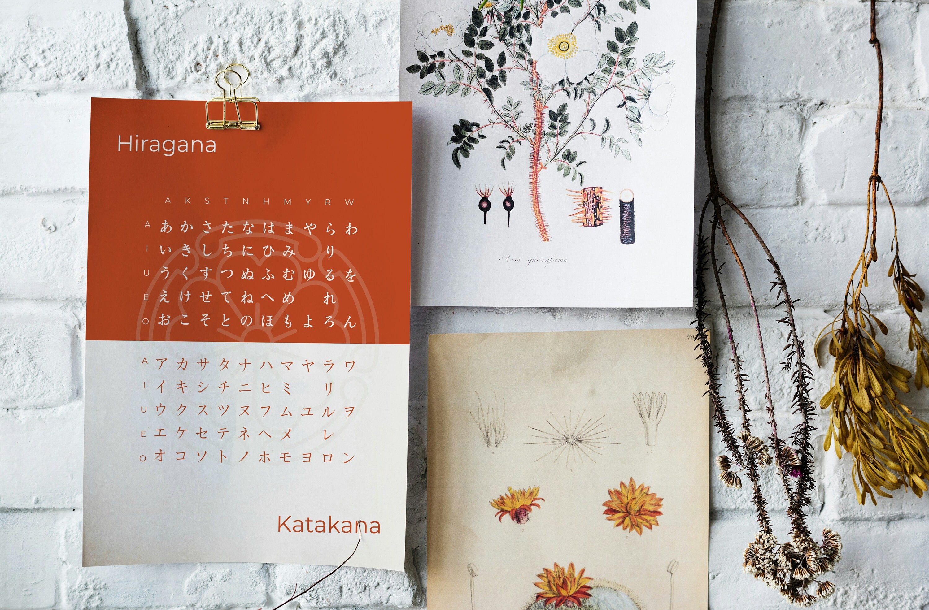 Hiragana Katakana Chart, Japanese Alphabet Poster, Japandi Home Decor ...