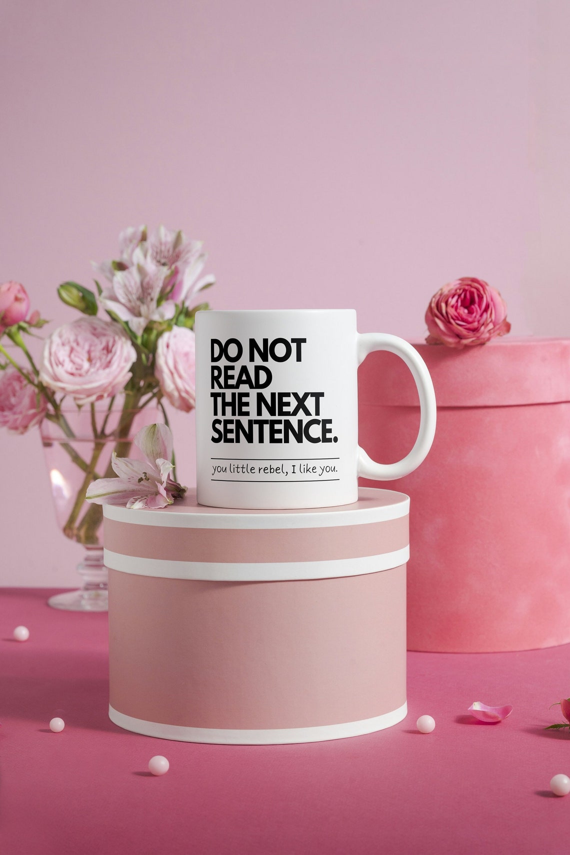 Do Not Read the Next Sentence You Little Rebel I Like You Funny Quote ...