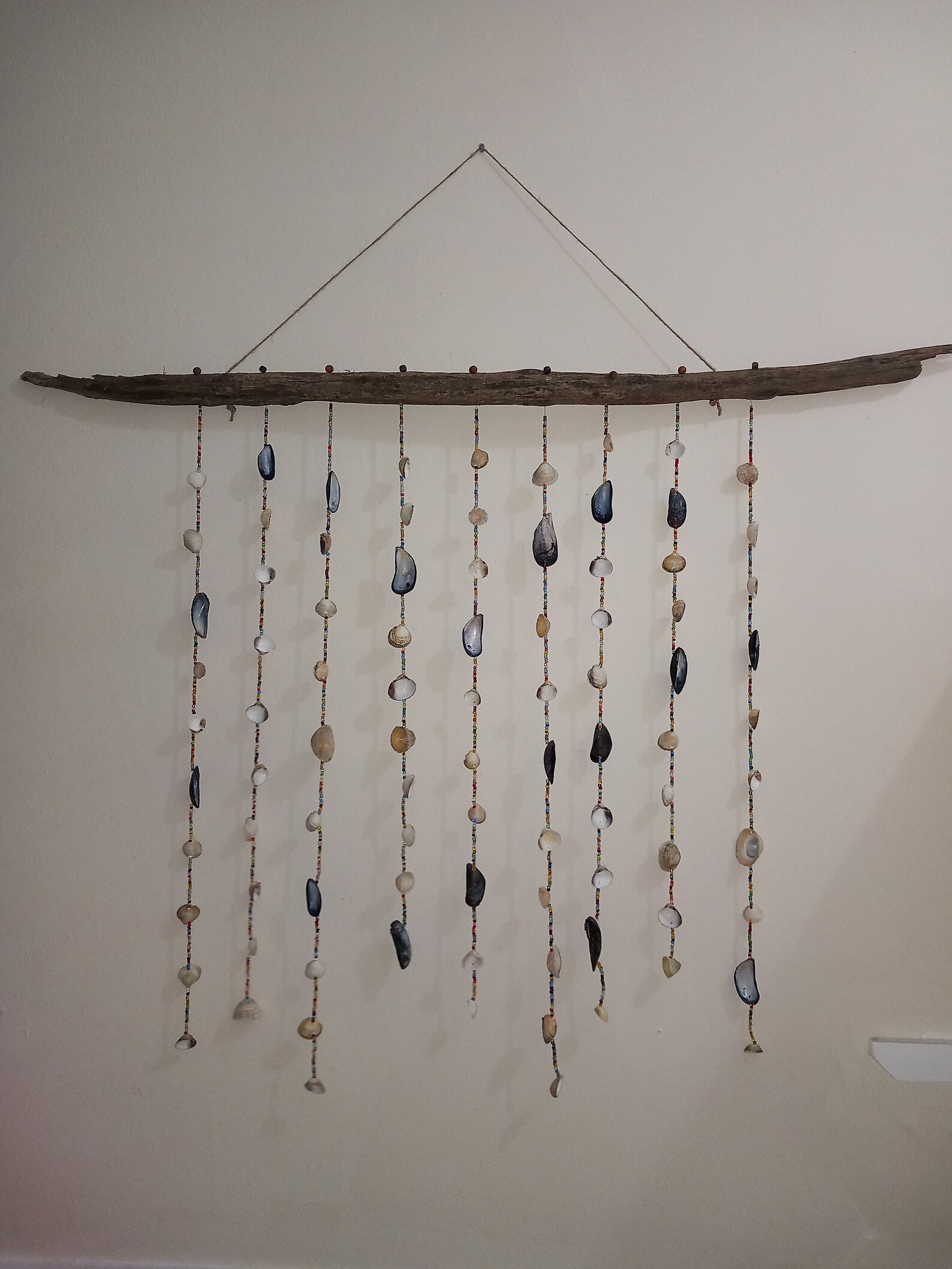 Cornish Sea Shell Wall Decor - Etsy