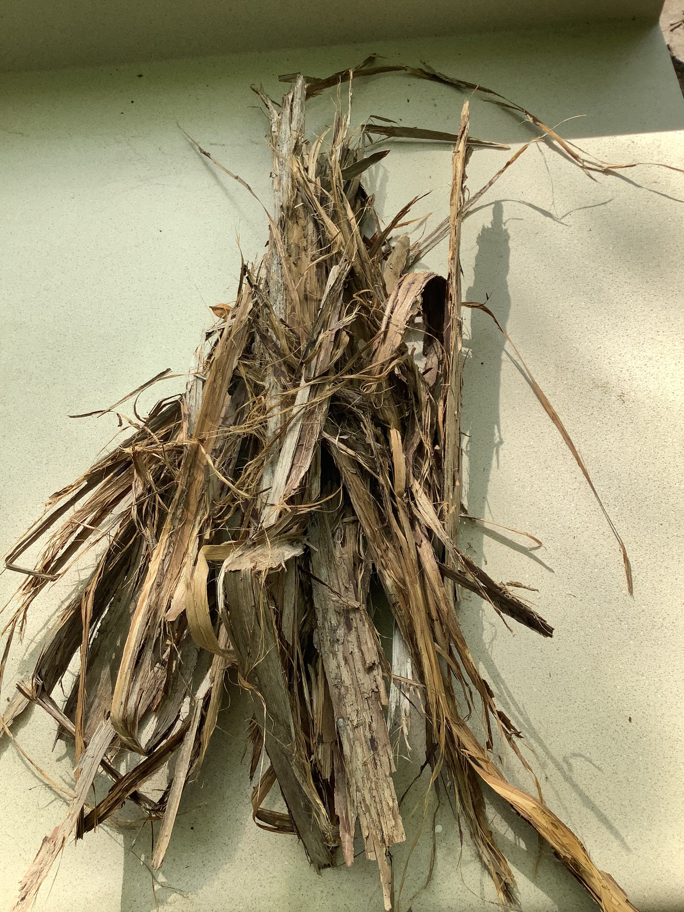 4 Ounces Wild Eastern Red Cedar Bark From the Appalachian Mountains - Etsy